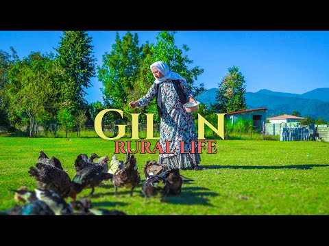 cinematic village life in Talesh
