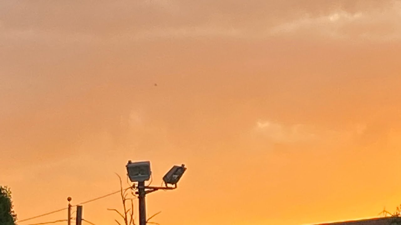 Trevor Haley-In The Morning - YouTube