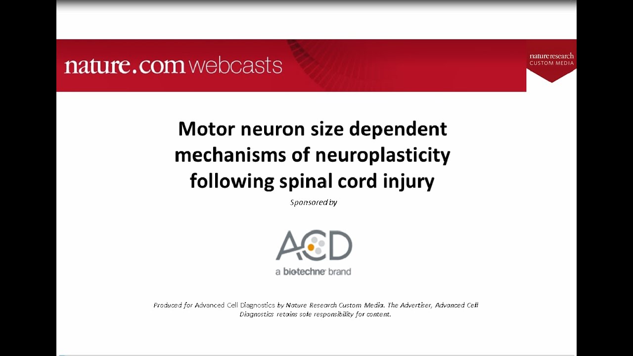 2019 May 14: Motor neuron size dependent mechanisms of neuroplasticity ...