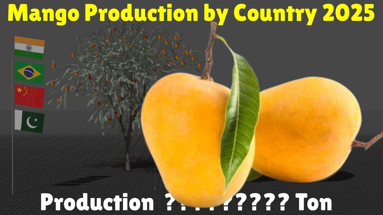 Top Mango Producing Countries in 2025 | Global Mango Production Stats ...
