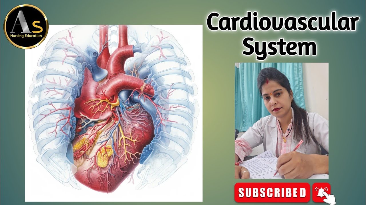 Cardiovascular system l Cardiovascular system anatomy & physiology l ...