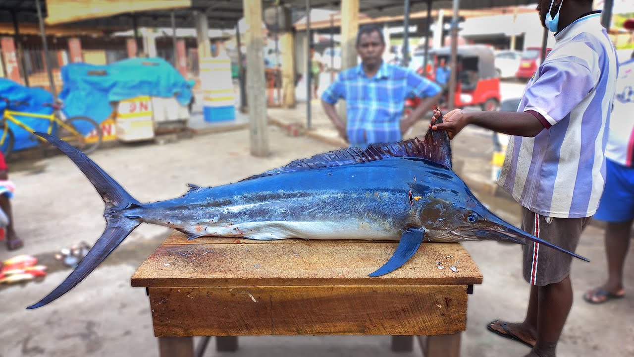 ULTIMATE FISH CUTTING COMPETITION | MASTER FISH CUTTING SKILLS ASMR ...