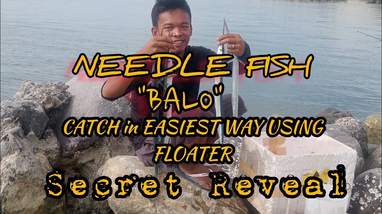 Needle Fish or Balo Hunt 3.0😲😍 Easiest Way to Catch Using Floater ...