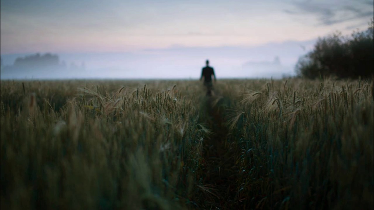 The Echelon Effect - Signals - YouTube