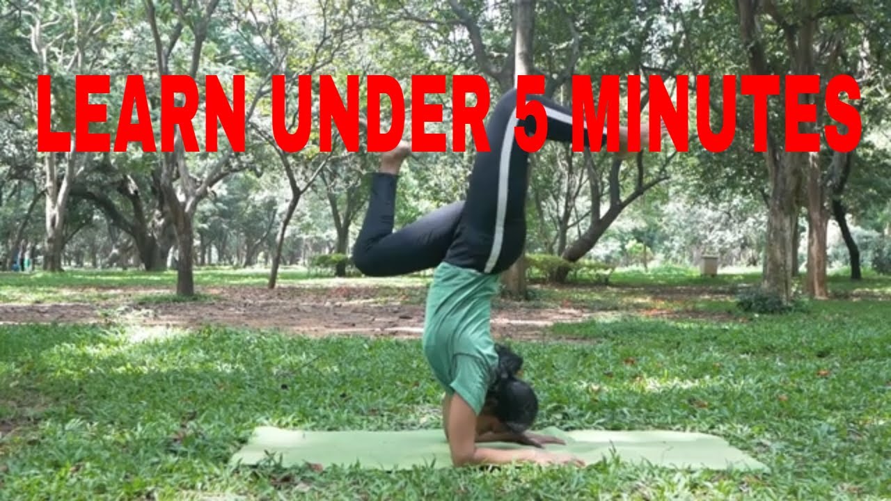 HOW TO DO PINCHA MAYURASANA (FOREARM STAND OR ELBOW STAND) ft Sheetal ...