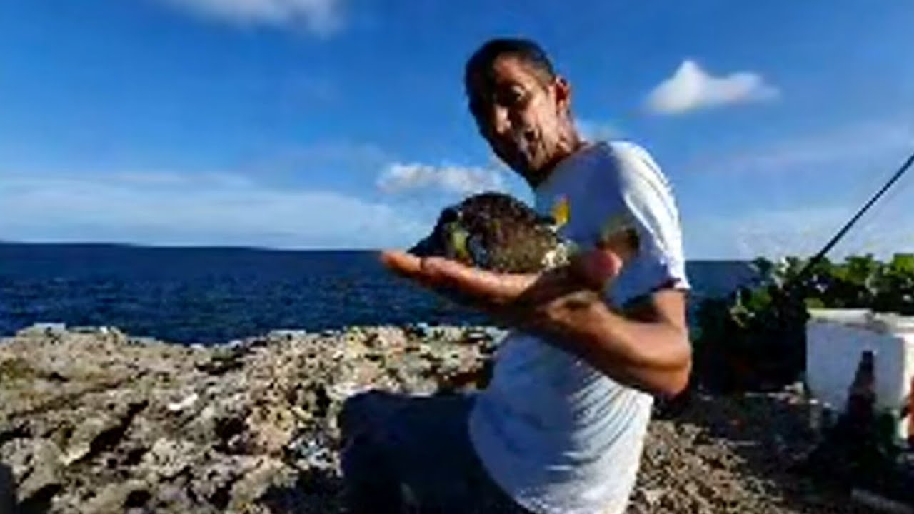 Pesca de Orilla en Vivo Santo Domingo Republica Dominicana - YouTube