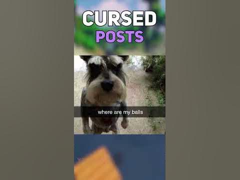 cursed posts 58 #shorts #minecraft - YouTube