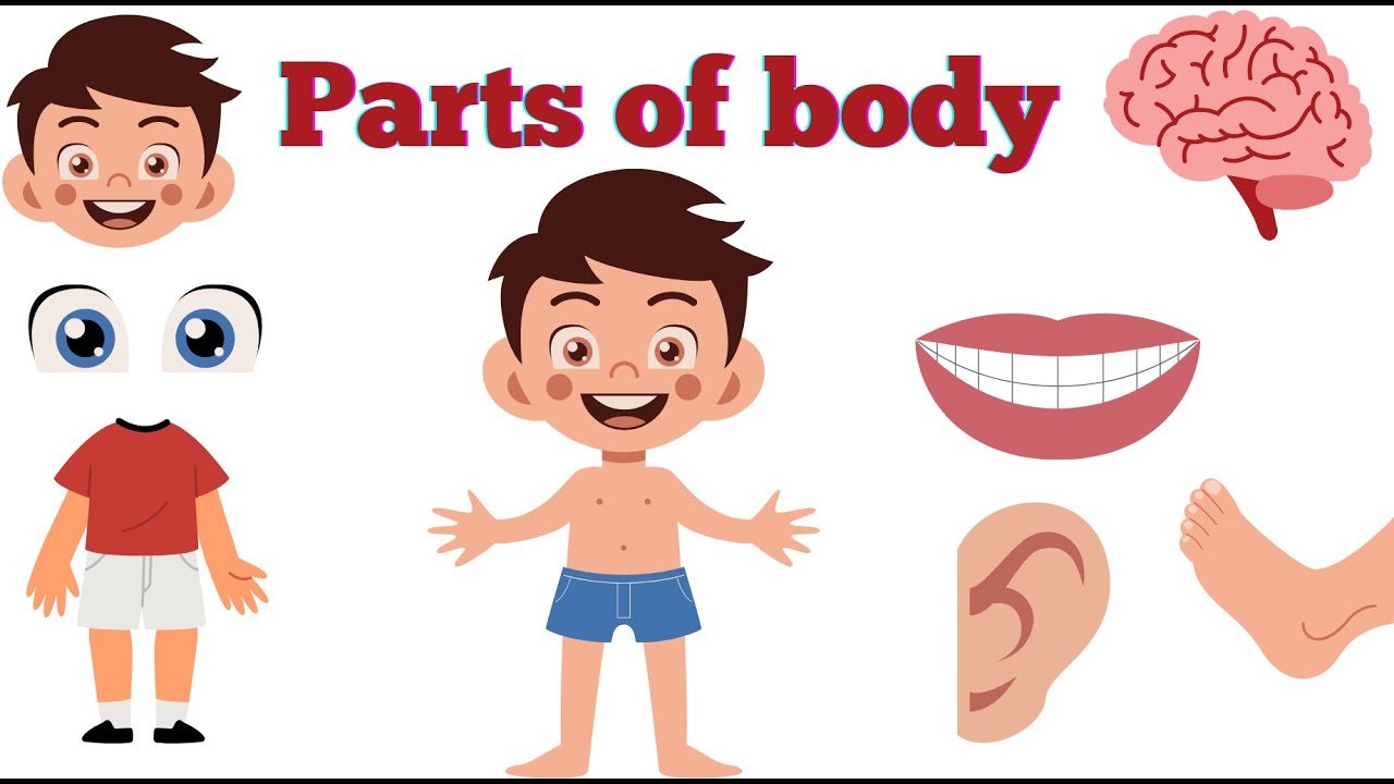 "Learn Parts of the Body | Fun Educational Video for Kids" - YouTube