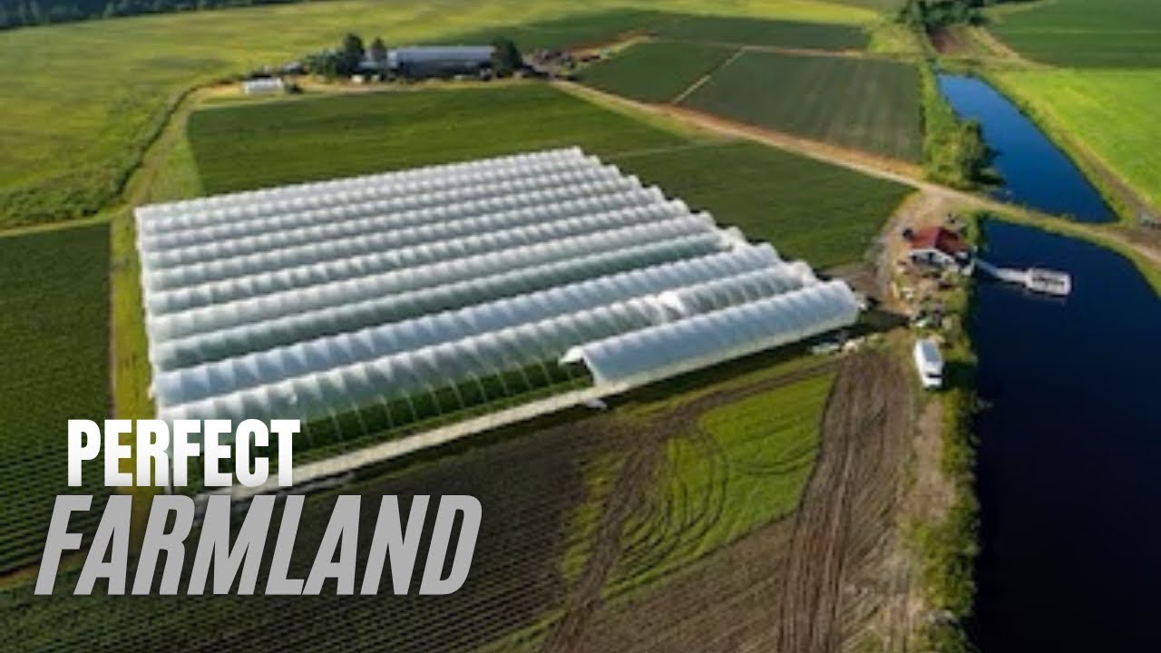 Agronomist Reveals Why Choosing Perfect Land For Your Farm Is Very ...