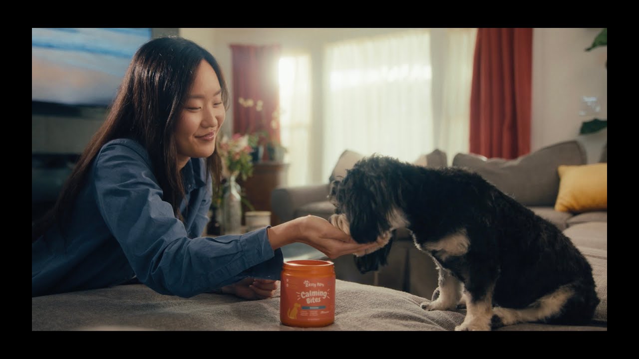 Chewy Commercial - YouTube