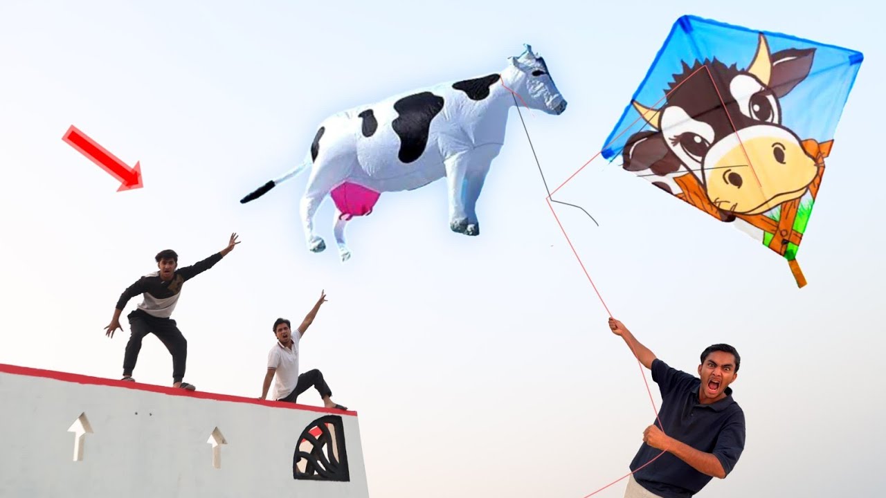 New Cow Kite Catch Haveli Roof | Small Kite Caught Tree - YouTube