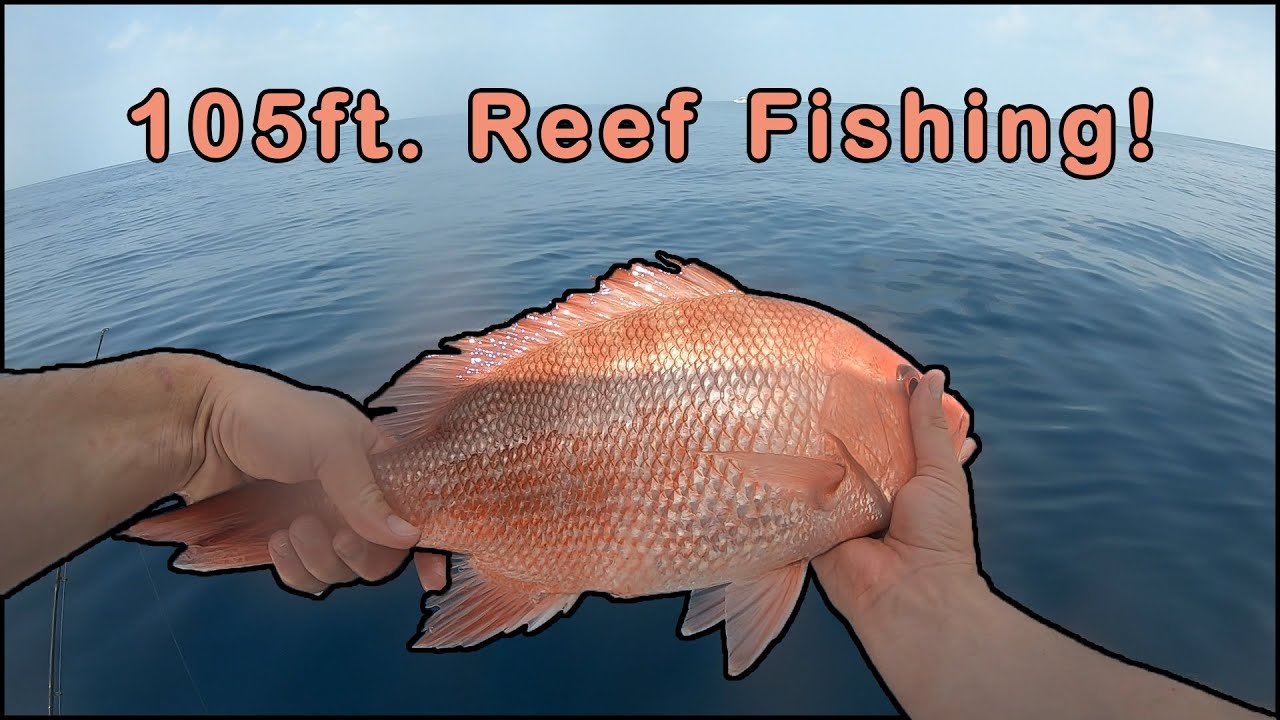 Fishing offshore for big RED SNAPPER & VERMILLION (Bottom fishing 105 ...