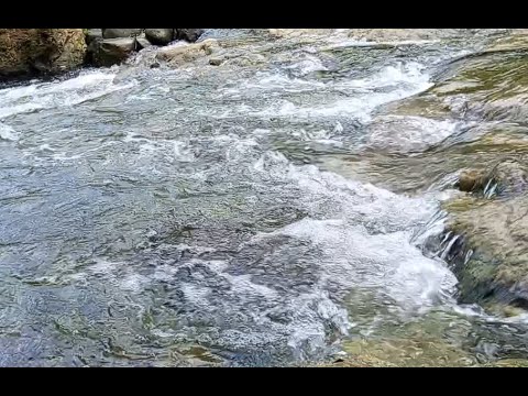 Tapwakan Dagupan Lallo Cagayan Backyard and Lifestyle Vlogs - YouTube