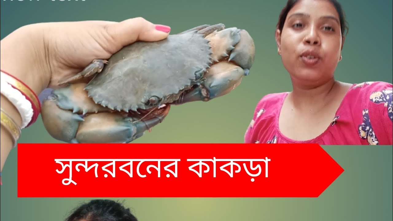 mini vlog channel video - YouTube