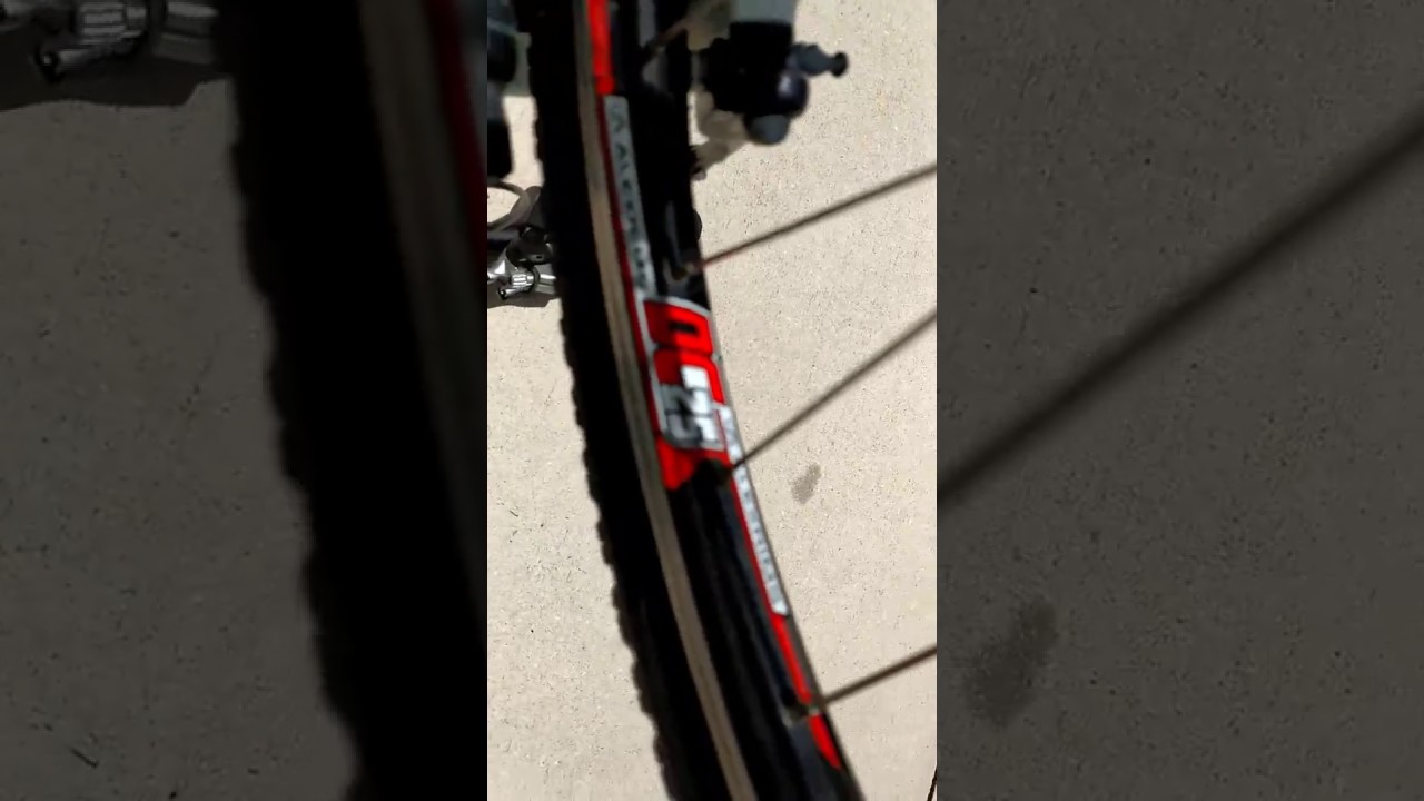 Visually inspecting an AlexRims DC25 28 inch bicycle wheel rim that is ...