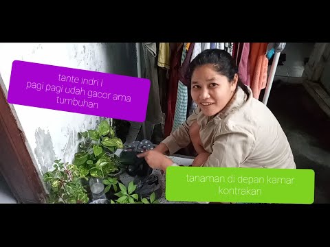 Tante indri tanam bunga pacar #anakkontrakan