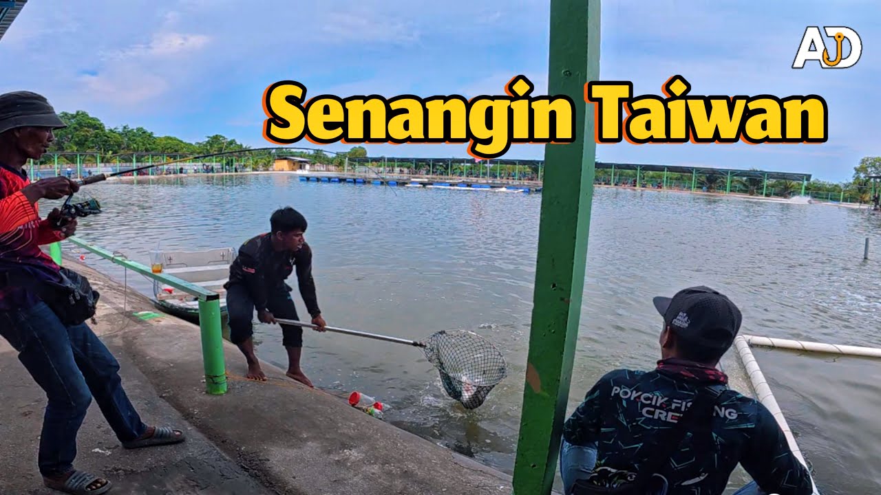 Senangin Taiwan Day | Ranking Aku kena Potong Last minit #fishinglife ...