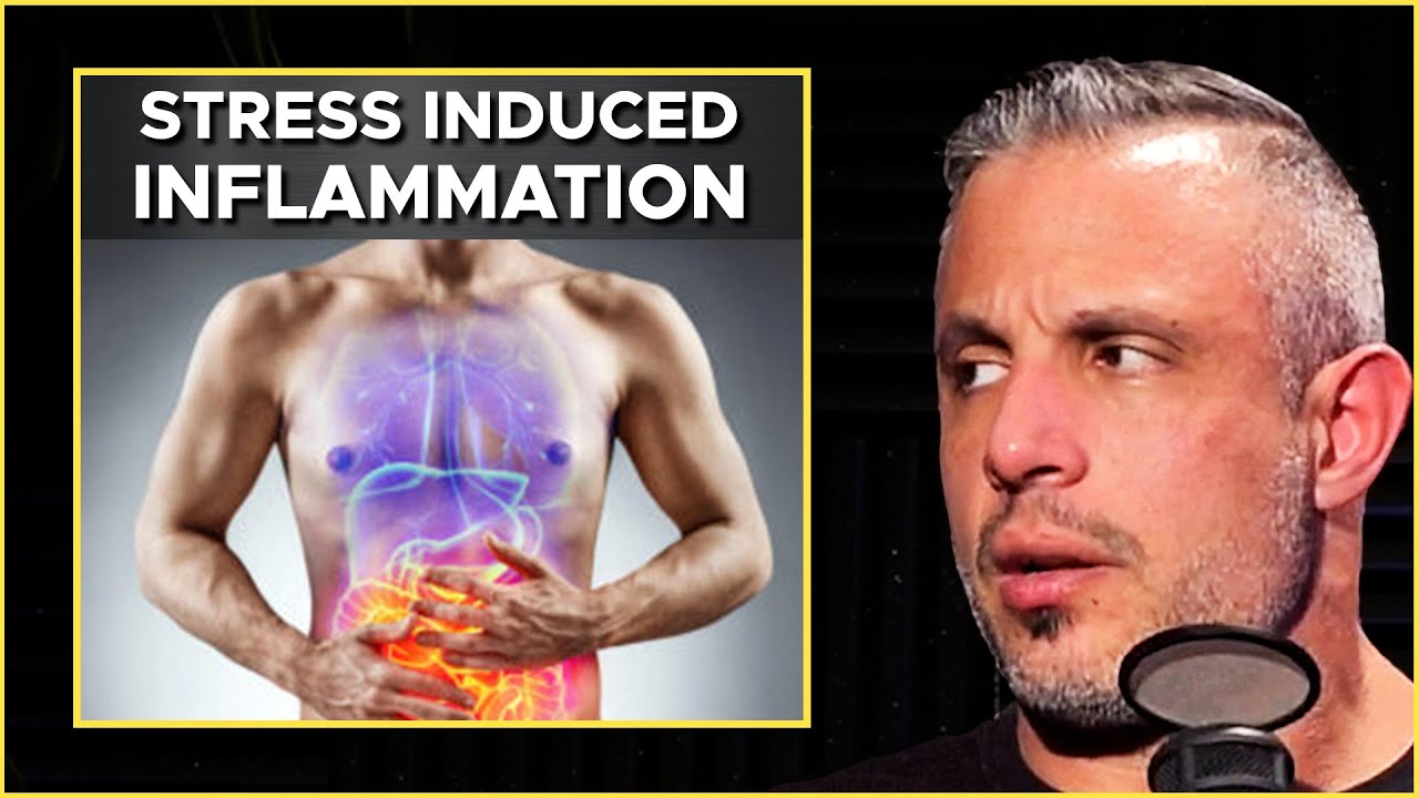 Strategies To REDUCE INFLAMMATION During Stressful Times - YouTube
