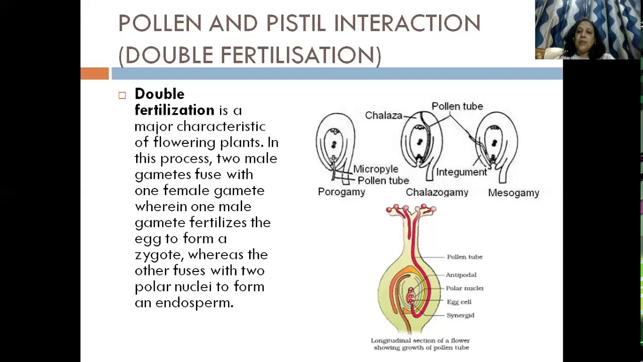Class XII, Bio Chapter 1 lecture 3 - YouTube