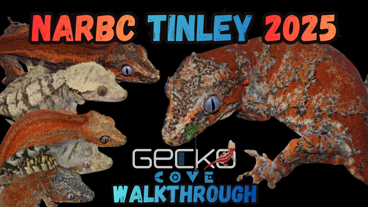 NARBC Tinley 2025 Walkthough - YouTube