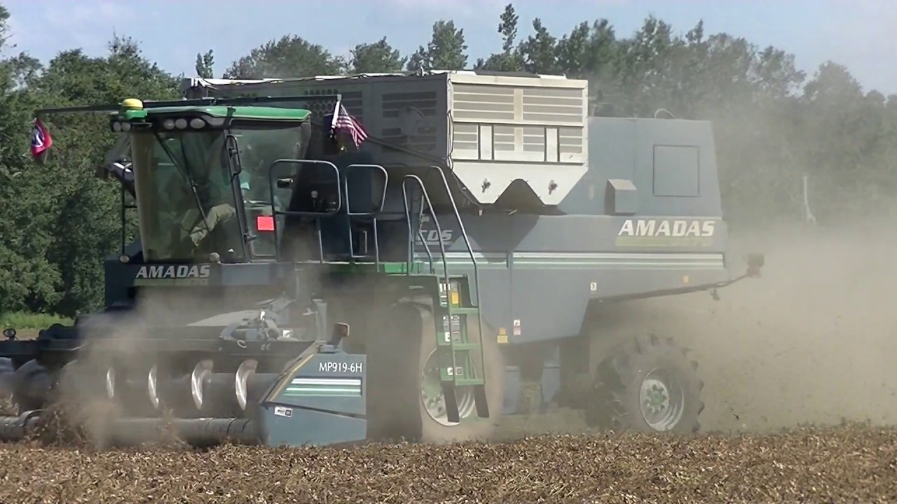FIVE AMADAS PEANUT COMBINES PICKING PEANUTS. RENTZ FAMILY FARMS 2019 ...