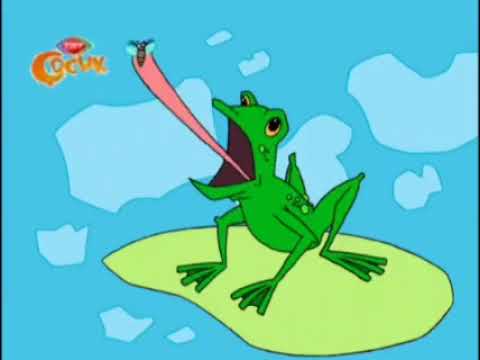 TRT Çocuk Çizgi Film - Köpekbalığı Kenny (2009) Açılış Müziği (2003-2005)