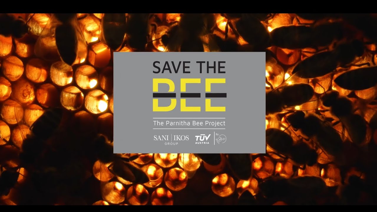 SAVE THE BEE - The Parnitha Bee Project: Για την ανασυγκρότηση της ...