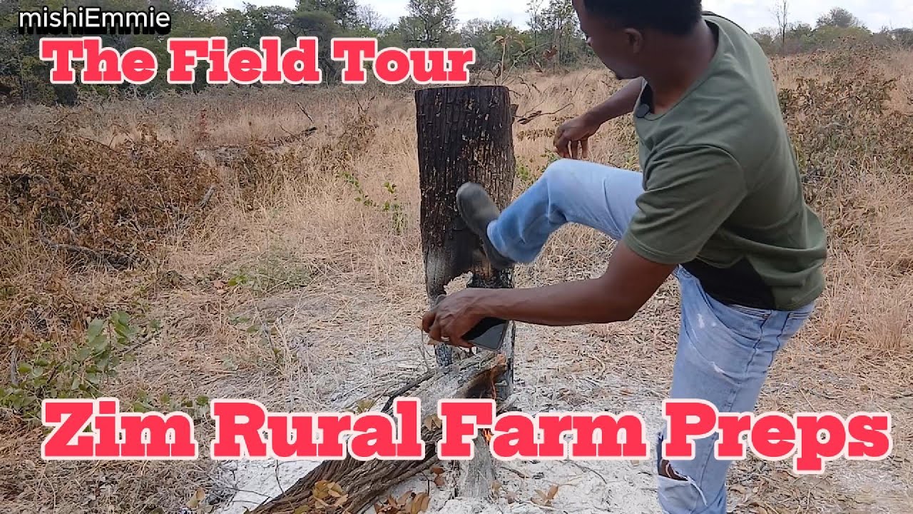 Zimbabwean Rural Farm | The Field Tour - YouTube