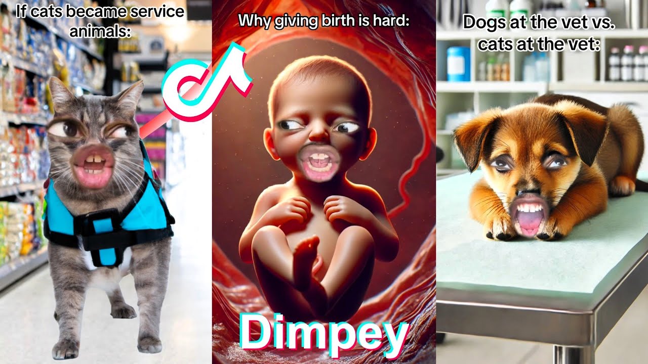 * 1 HOUR * Best Dimpey6 Shorts Compilation of All Time | Funny Dimpey ...