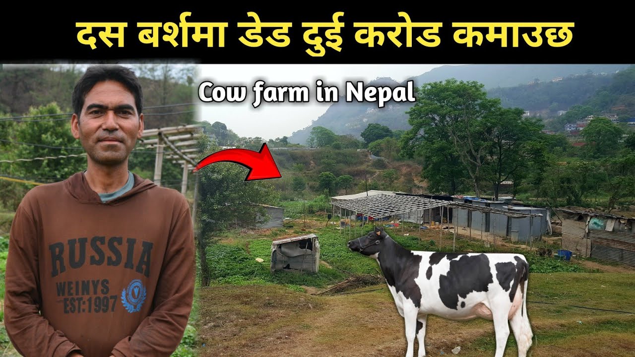 दश बर्षमा डेड दुइ करोड कमाउछ,गाइ पाल्नलाई गाइनै हुनपर्छ - Cow farming ...