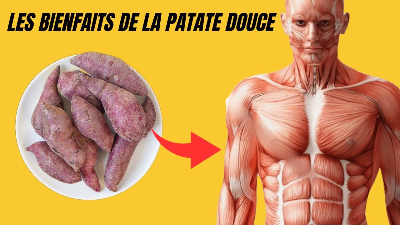 Découvrez les 10 bienfaits incroyables de la patate douce que vous ...