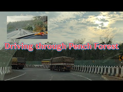 Driving through Pench Forest | Between Nagpur and Shivani - YouTube