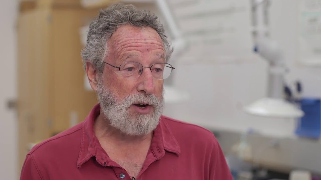 Research in a minute: Don Levitan - YouTube