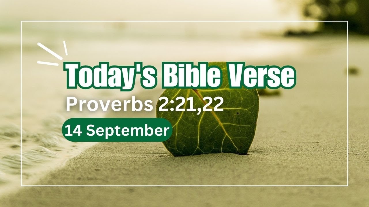 Today’s Bible Verse with explanation Proverbs 2:21,22 | Perfect shall ...