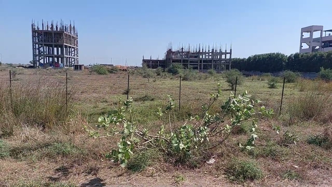 land For SALE 11000 sqmt land Saykha Gidc Vagara Bharuh MO.8905333201. ...
