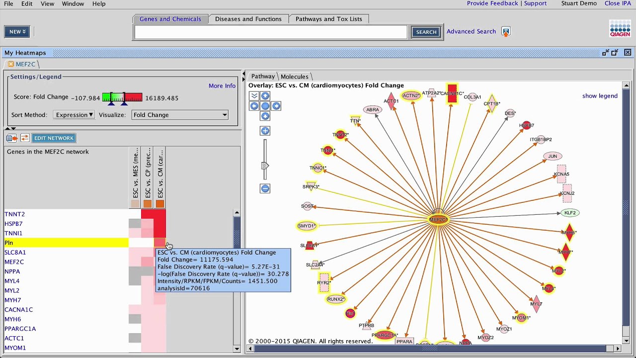 Comparison Analysis in IPA - YouTube