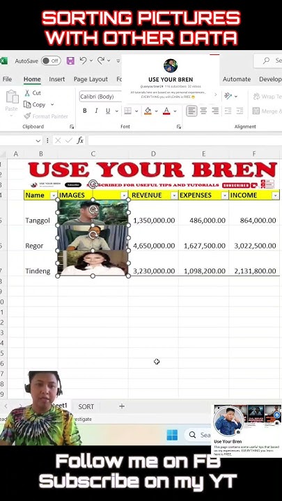 Sorting Pictures In Excel Tutorial Shorts Exceltips Exceltutorial Excelvba Excel Viral