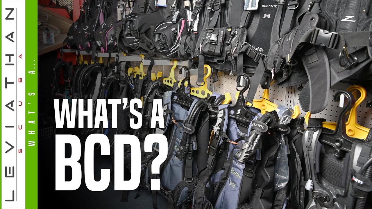 What's A BCD. Basics of modern BCD's. - YouTube