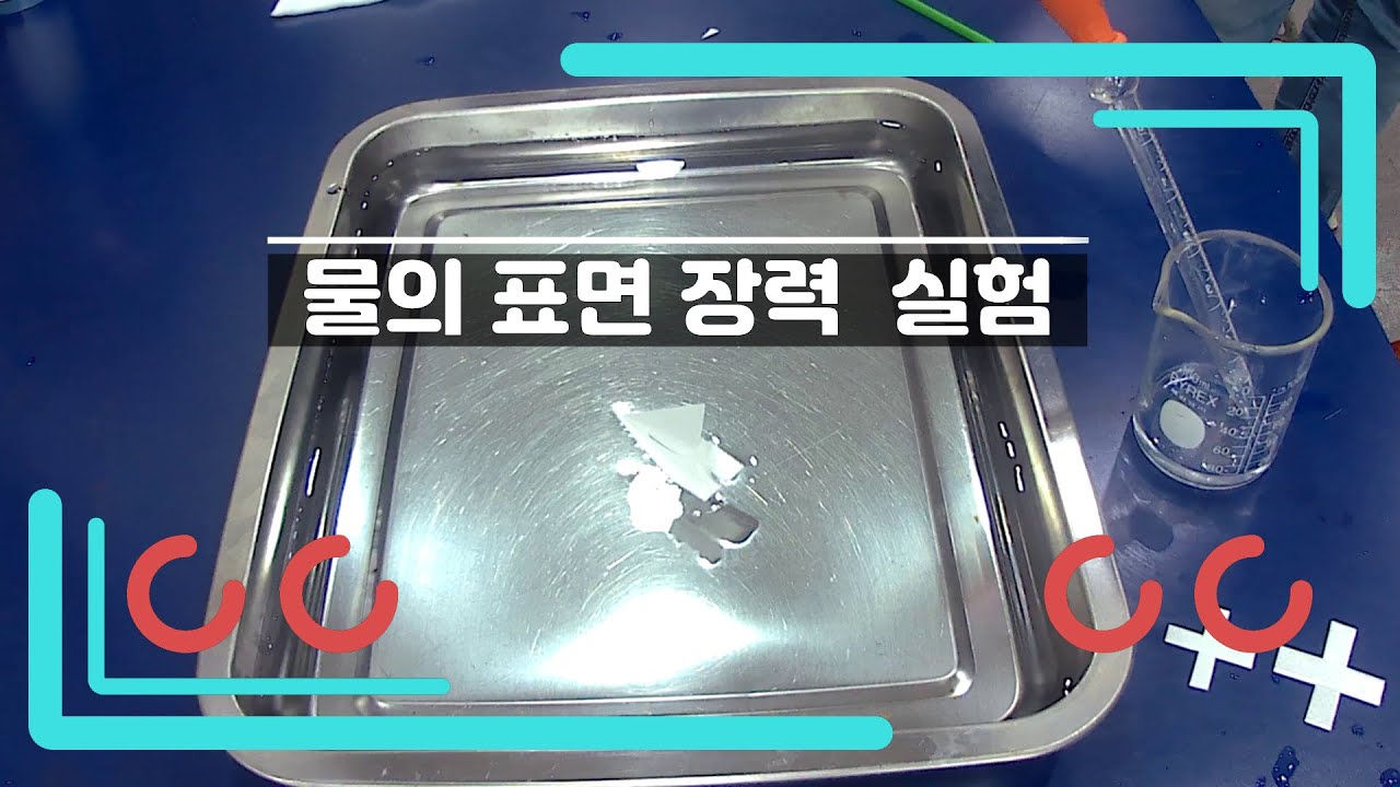표면장력 확인 실험 Youtube