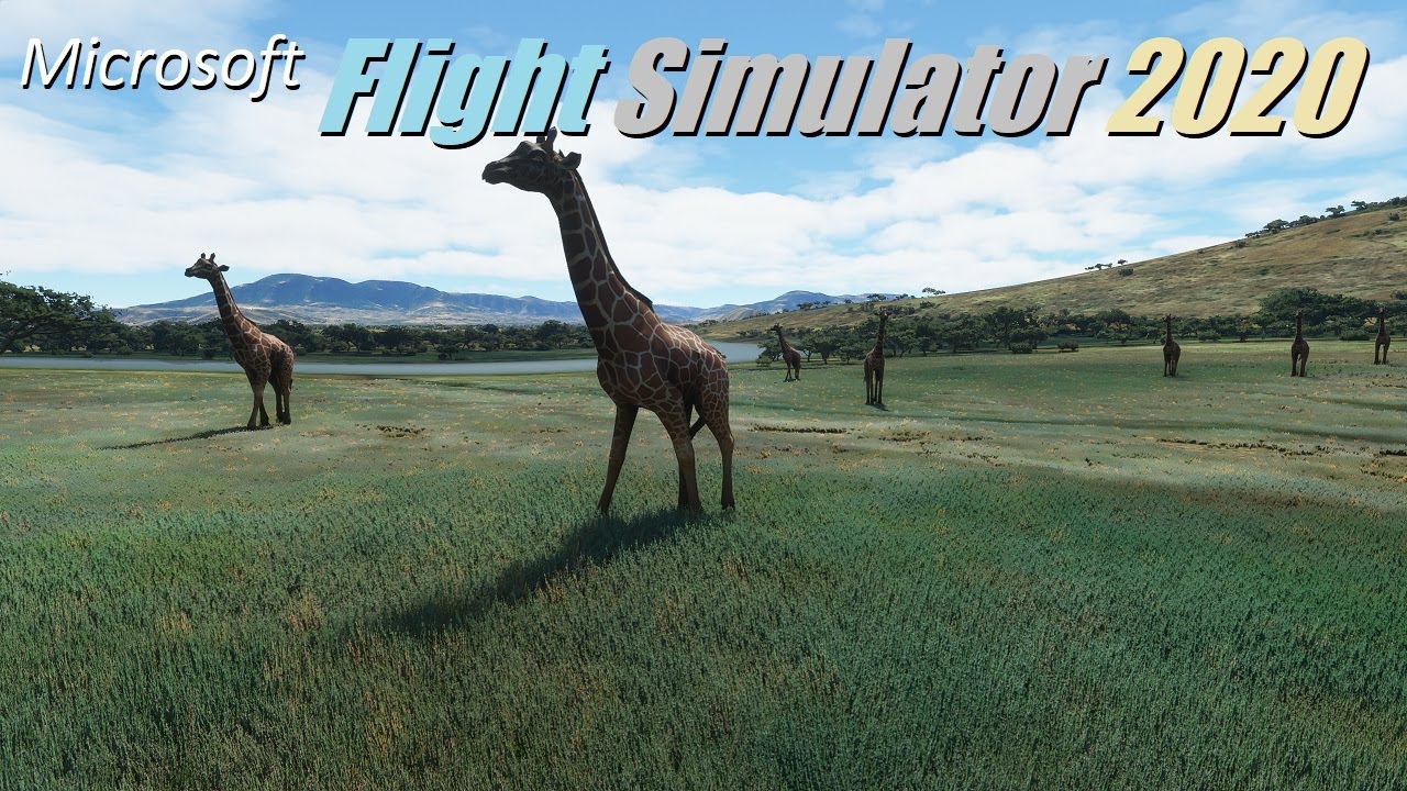Microsoft Flight Simulator 2020: GIRAFFES! (Fauna) - YouTube