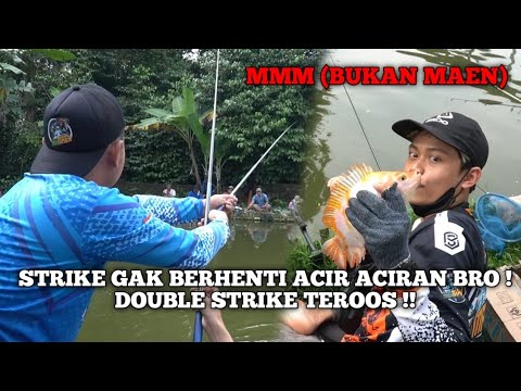 BORONGAN ISTIMEWA 3 JAM DAPAT 40KG NILA & MAS ! UMPAN MASHOOK PAK !!