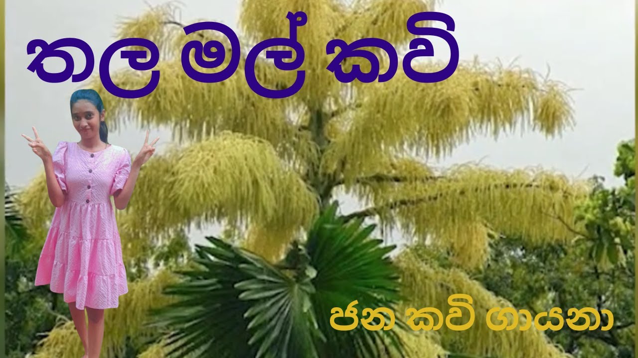 thala mal kavi gayana. - YouTube