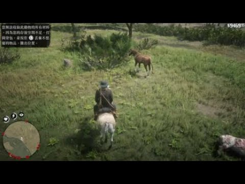 Red Dead Redemption 2 how to hunt legendary wild boar 傳說野豬 - YouTube