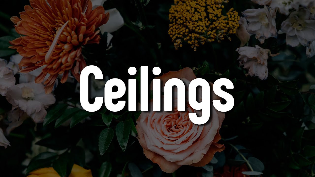 Lizzy McAlpine - Ceilings (Letra/Lyrics) | Official Music Video - YouTube