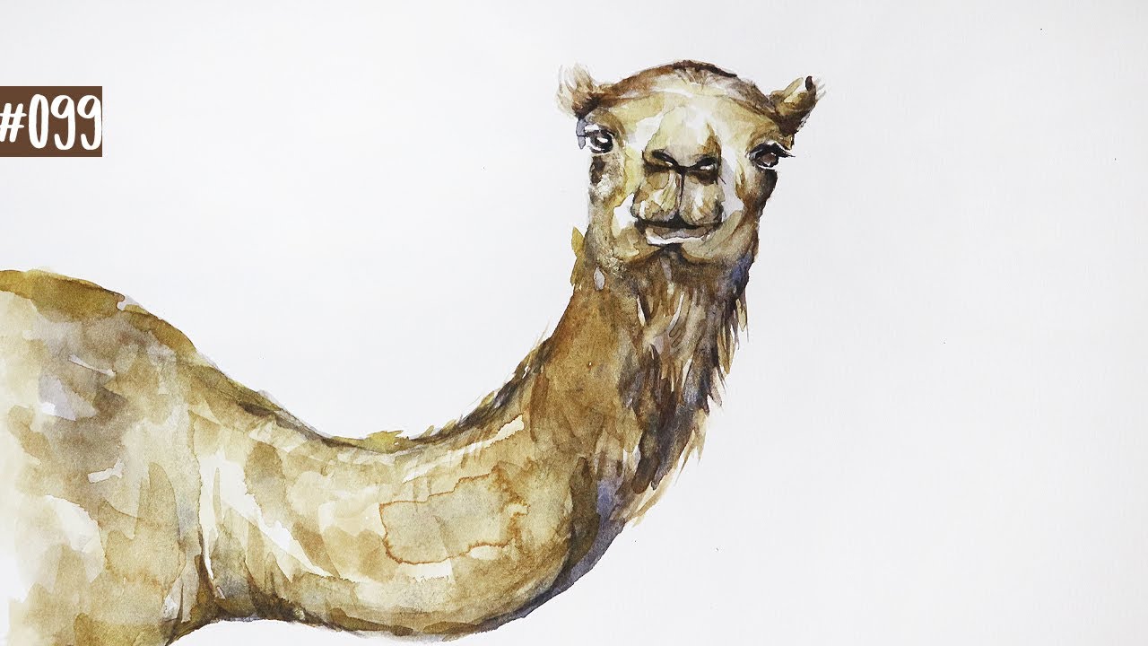Learn to Paint a Camel using ONLY 4 Watercolors / Art Tutorial #099 ...