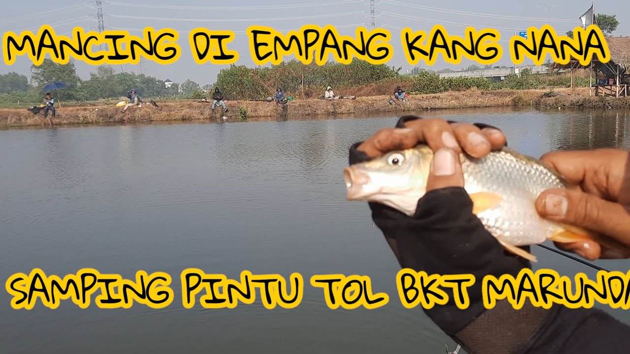 MANCING MARUNDA EMPANG KANG NANA - YouTube