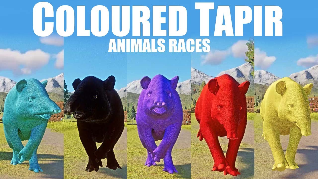 Colored Tapir Animals Races in Planet Zoo in 4K UHD included Baird's ...