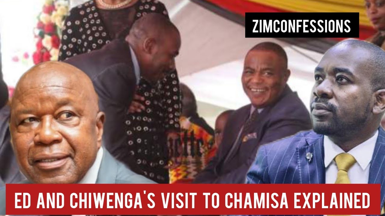ED And Chiwenga's Visit To Chamisa Explained - YouTube