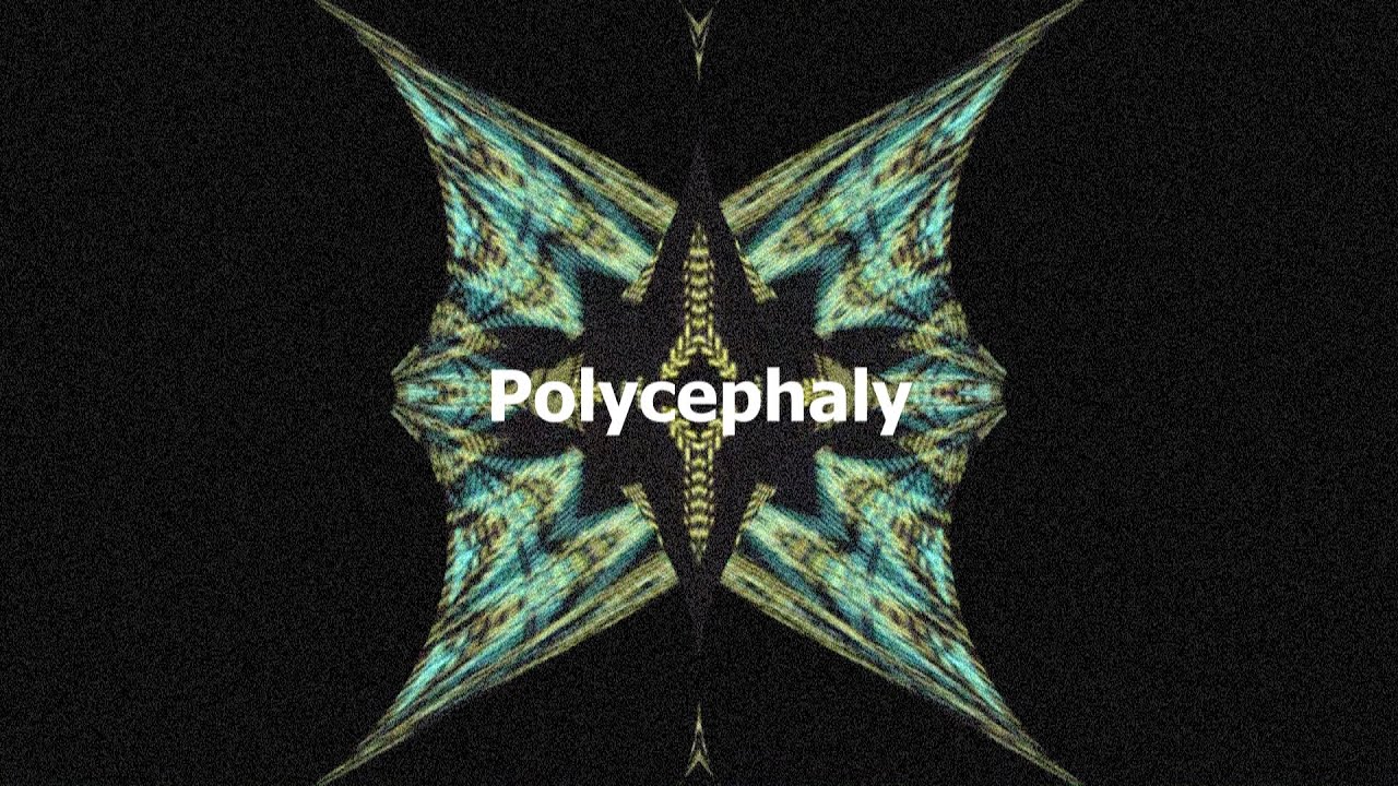 Polycephaly - YouTube