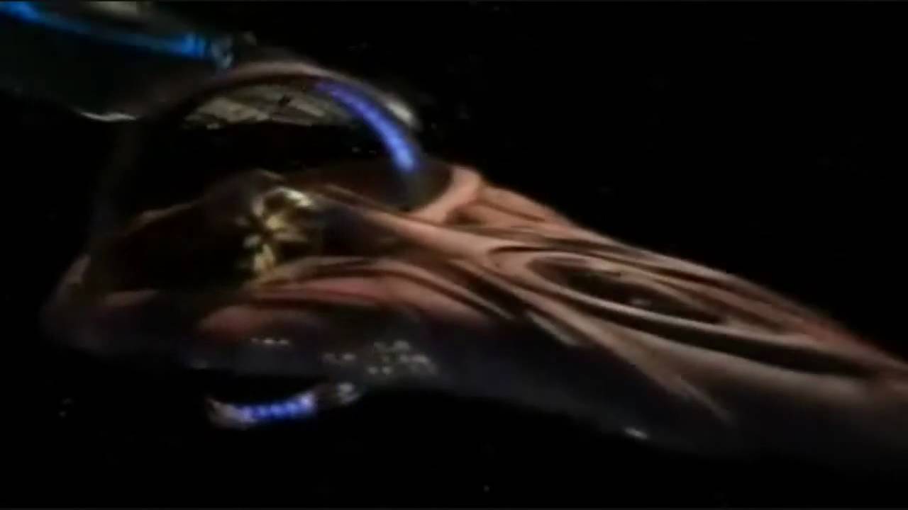 Star Trek - Earth Romulan War [Trailer 2] HD - YouTube